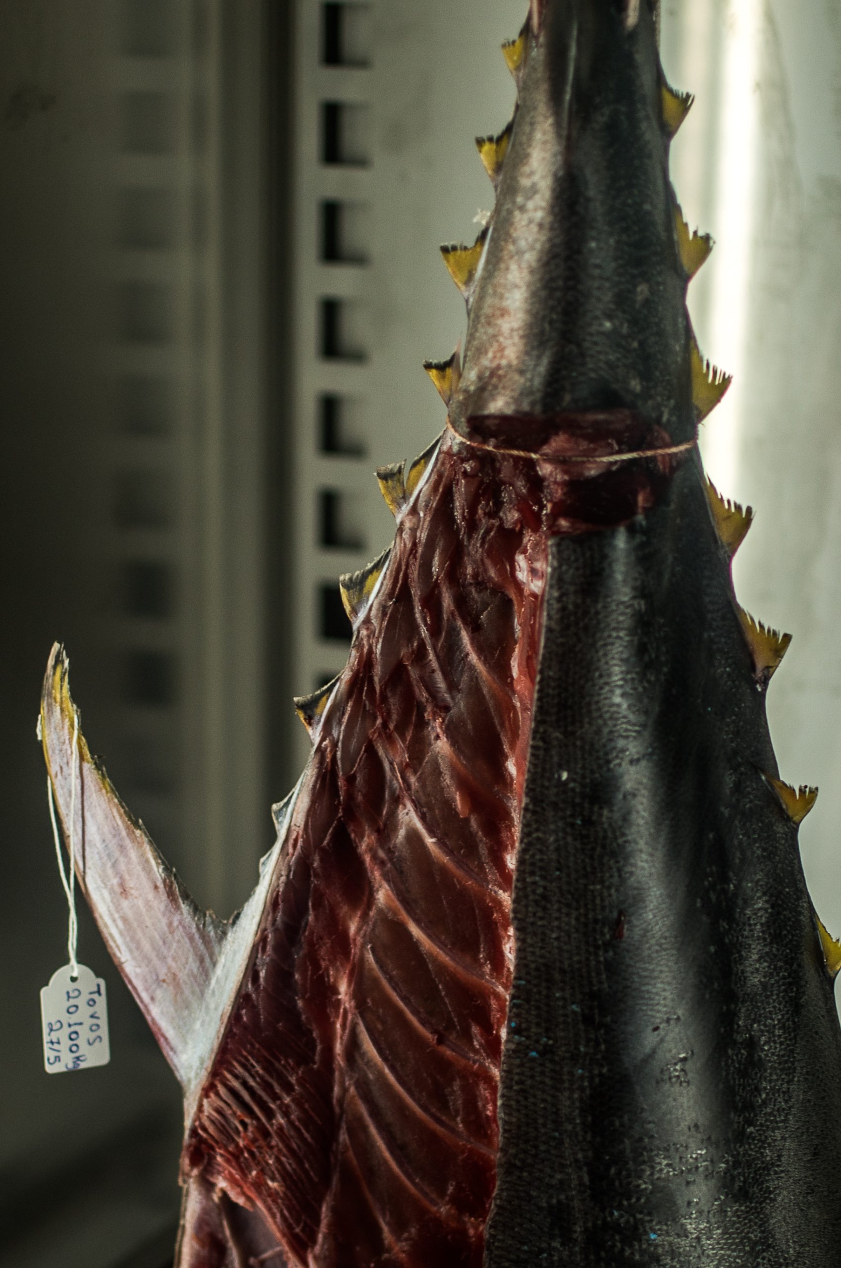 Phoebus Mykonos Restaurant | Dry Aging Fish